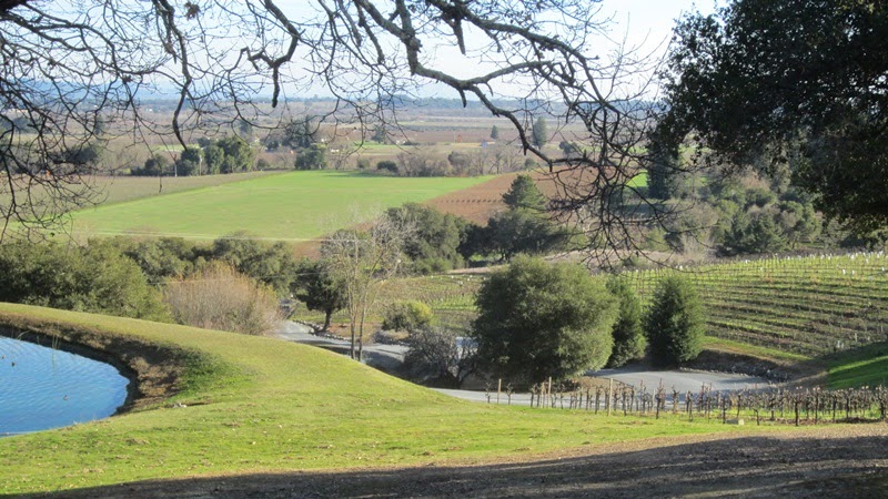 Bob on Sonoma: Visiting Wine Country in the Winter