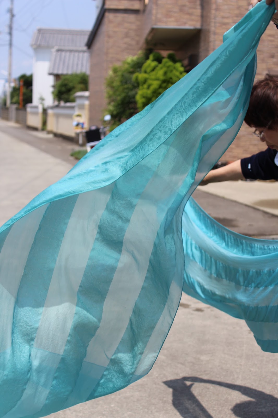 Indigo Blue for You : Kachi-iro 褐色