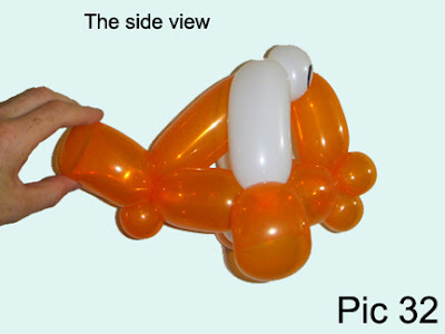 CLASSICAL: Balloon fish