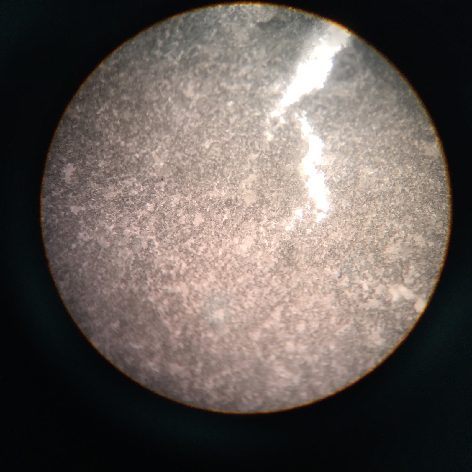 NFNF1213 Physicochemical Lab Report: Lab 4 : Part B (Particle Size and ...