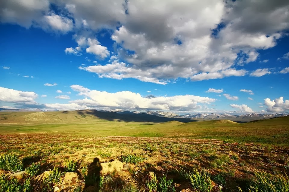 Deosai National Park, Pakistan.- Come, fall in love.