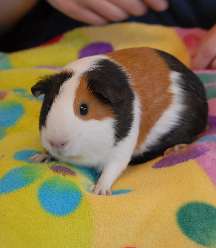 Was I just a temporary toy or fleeting amusement?