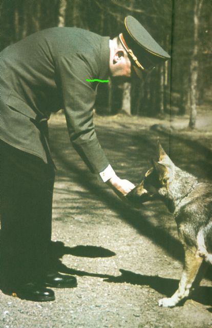 Urânia - José Galisi Filho: "Long live the German shepherd" - Germania ...