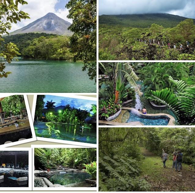 Tours List Frank the Tank