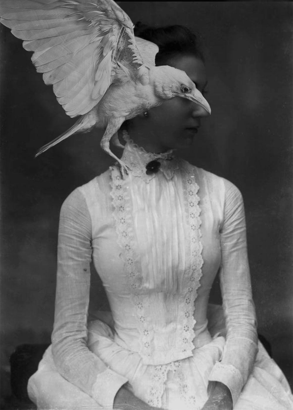 ::B L O G H I S T A∙P E R∙C A S O:: : Robin Isely