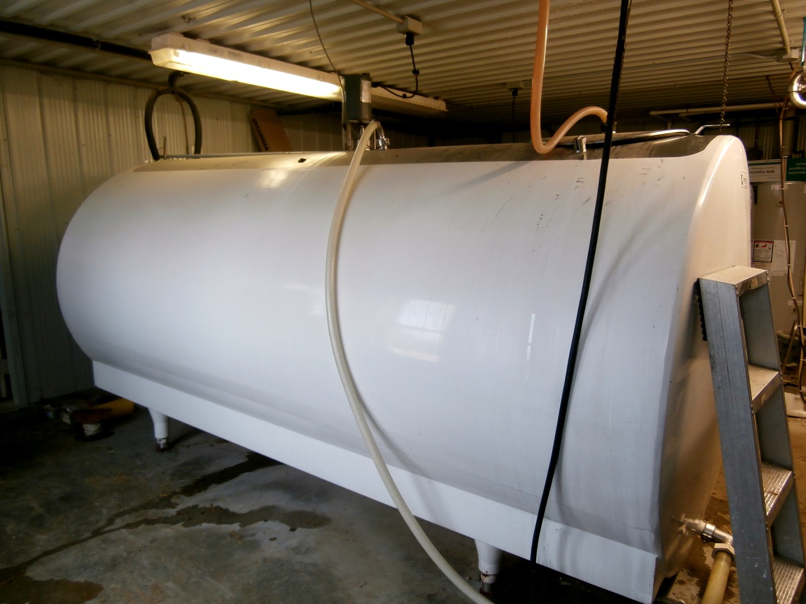 Dairy Goat Farming: Milk Managment