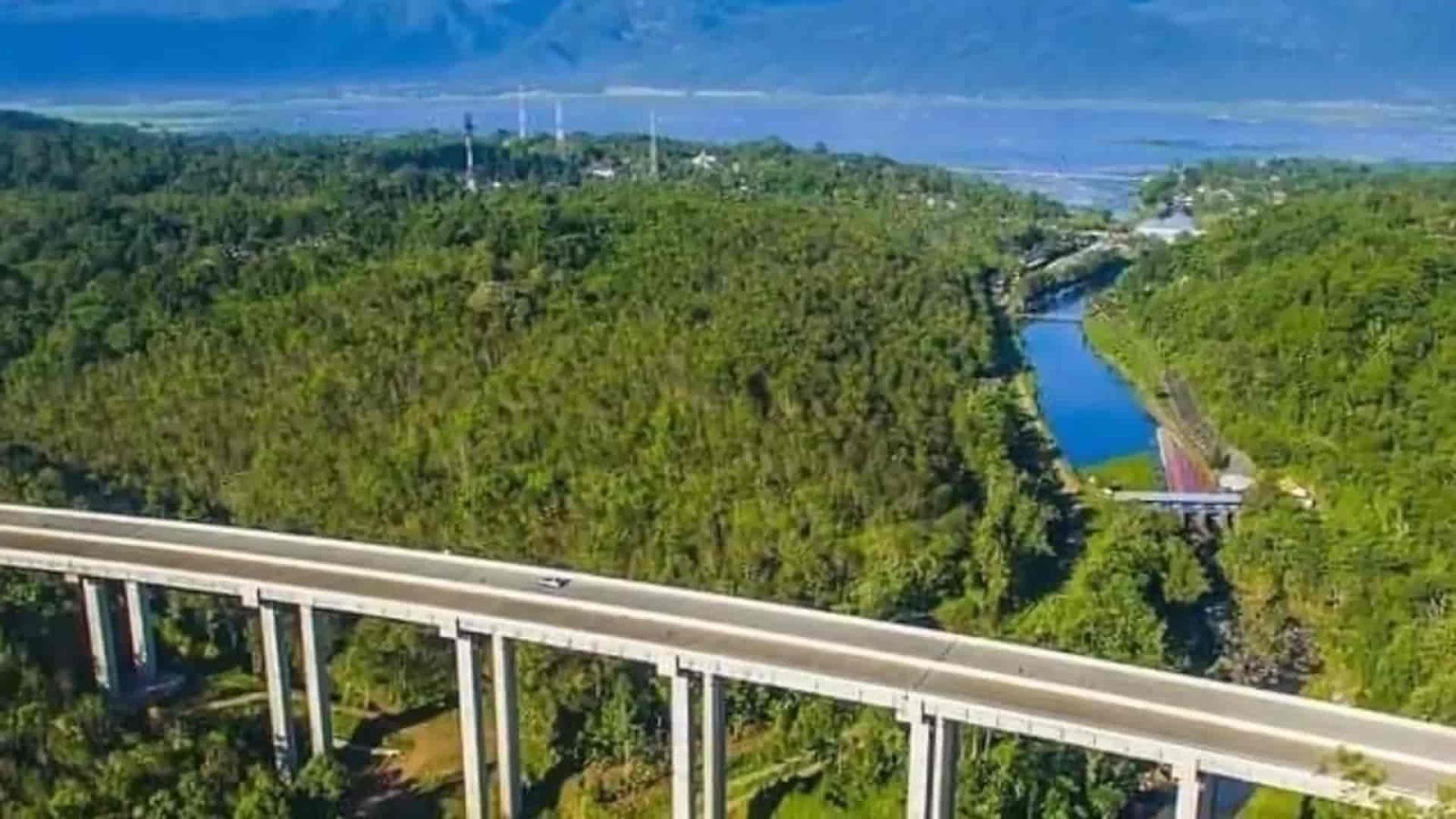 Pengertian dan Ciri-Ciri Zaman Neozoikum atau Kenozoikum - Zona Penemuan