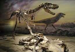 Imágenes de como se ha realizado este logo