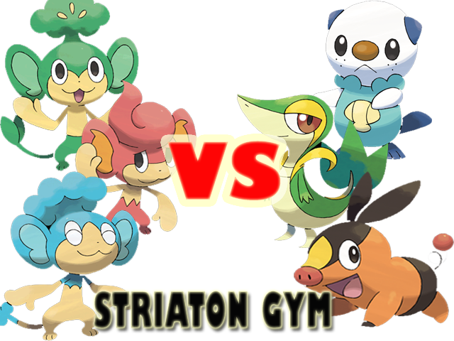 PokemonDaily.com: Guide for Striaton Gym
