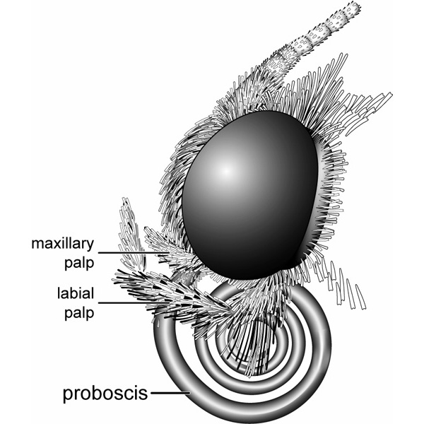 The Glass Character: 07/11/13