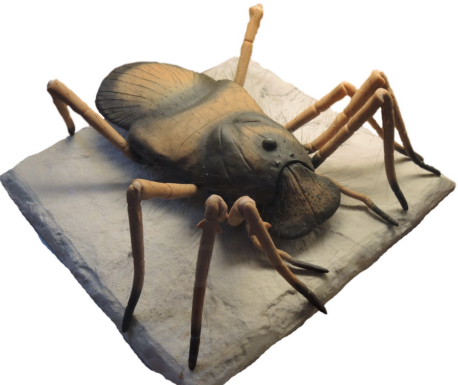 viventibus esse: Megarachne – najväčší pavúk, ktorý nikdy nebol