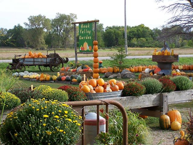 Siouxland Pumpkin Patches