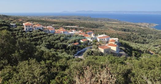 Lahi | Neapolis greece