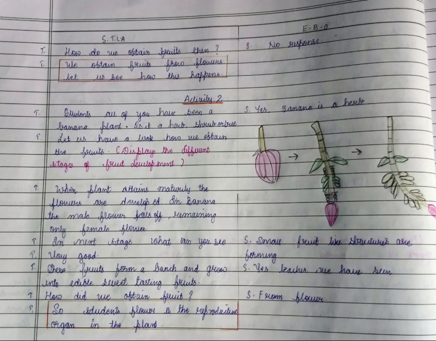 Splendid Science: Classroom lesson plan