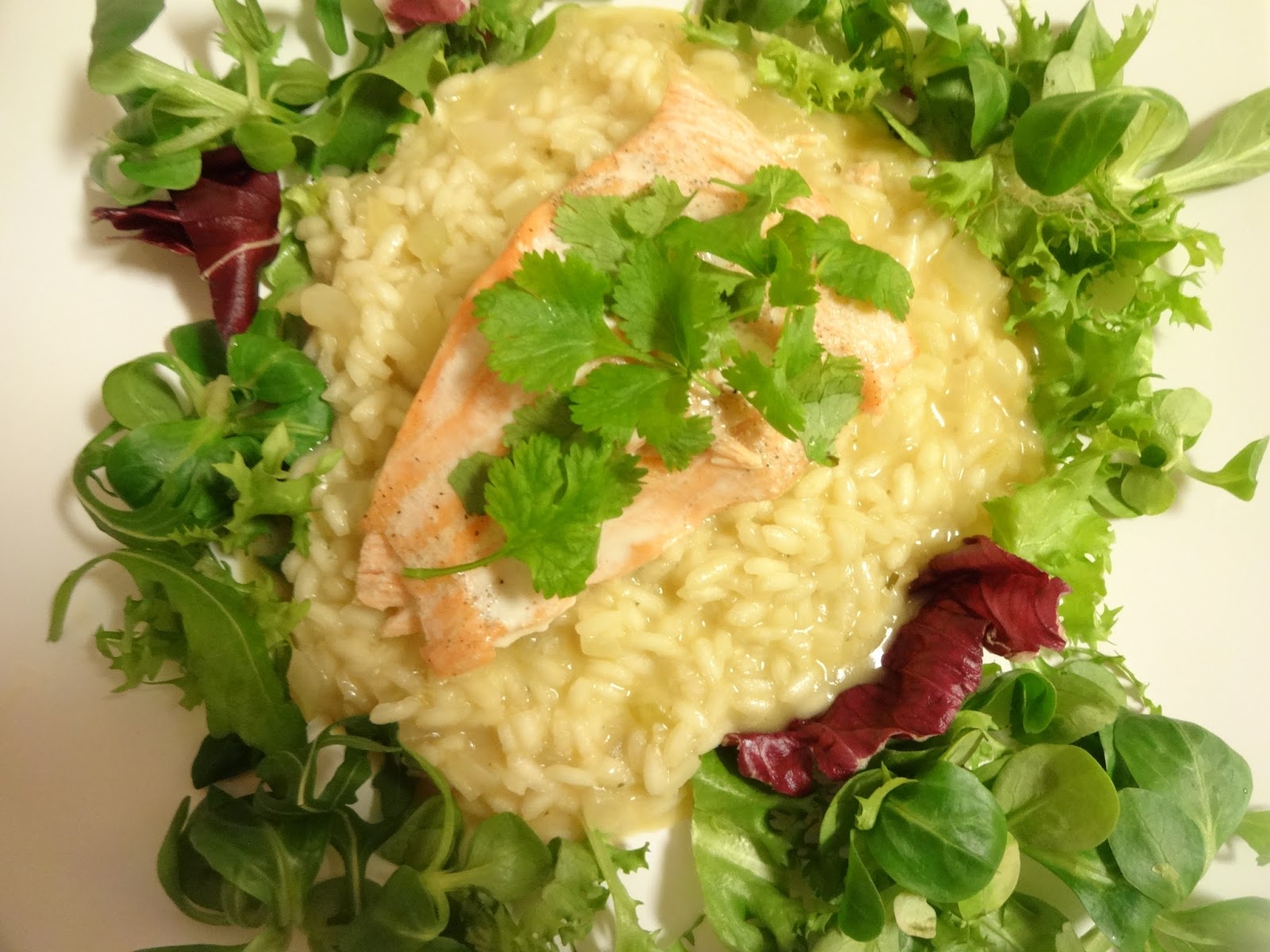 Edels Mat : Sitronrisotto med ovnsbakt laks 💞