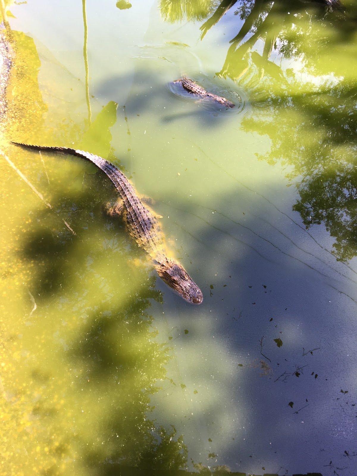 Art Room Blog: Today's Art Room Report...