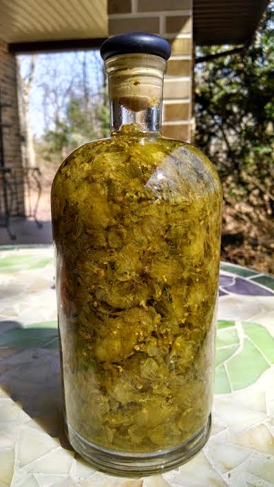 Hop Extract as an Alcohol Infusion