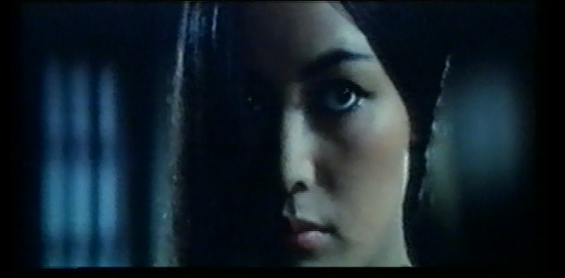 Disploitation Reviews: Crimson Bat 2- Trapped, The Crimson Bat