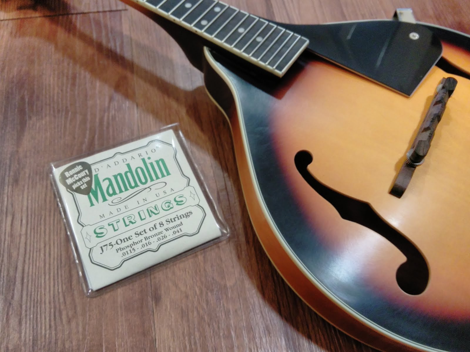 [Mattwins]: Rogue RM100-A Electric Mandolin Mods