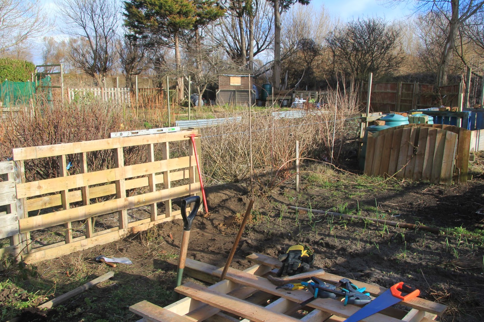 Allotment #65: Fence building on the plot