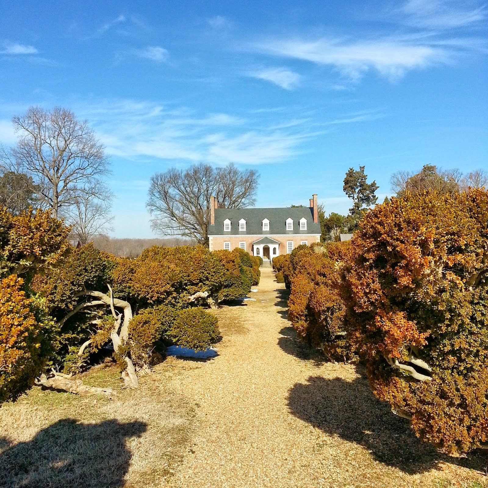 Gunston Hall Blog: A Walk Through the Boxwoods