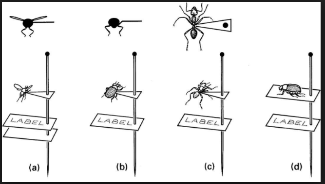 Handling of Insects