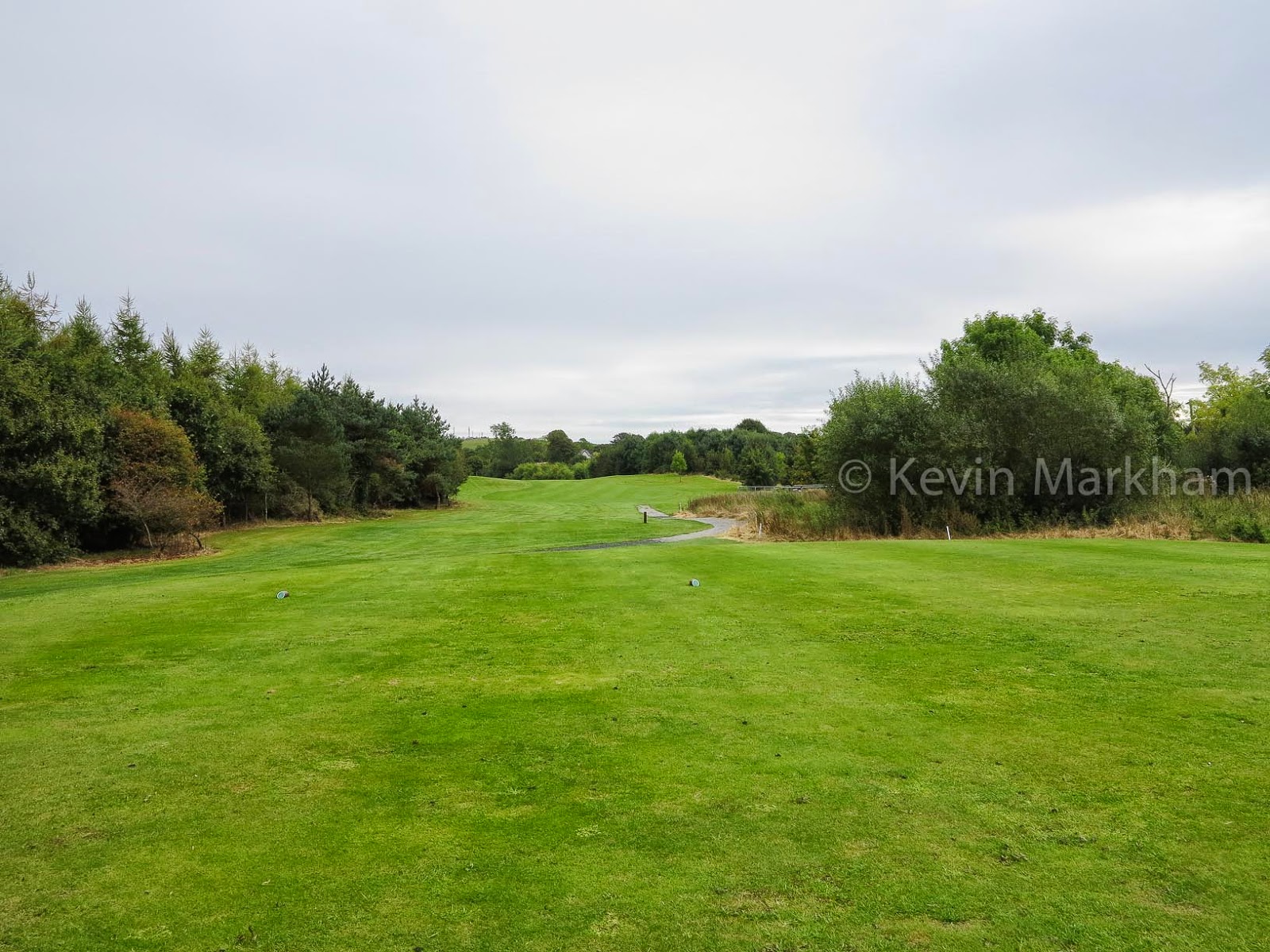 Hooked: Ireland's Golf Courses: Ballyneety - 'Phoenix' Golf Club of the ...