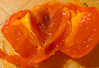 Seasonal Eating: Preparing Hachiya Persimmons