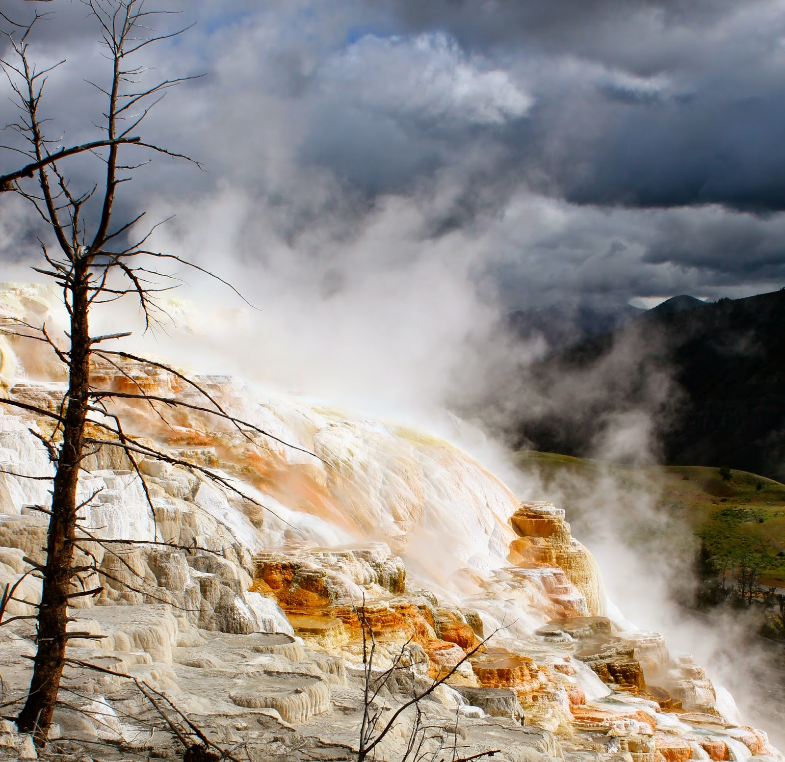 WaterTurtle: Montana & Wyoming - Part 2 Bozeman & Yellowstone National Park