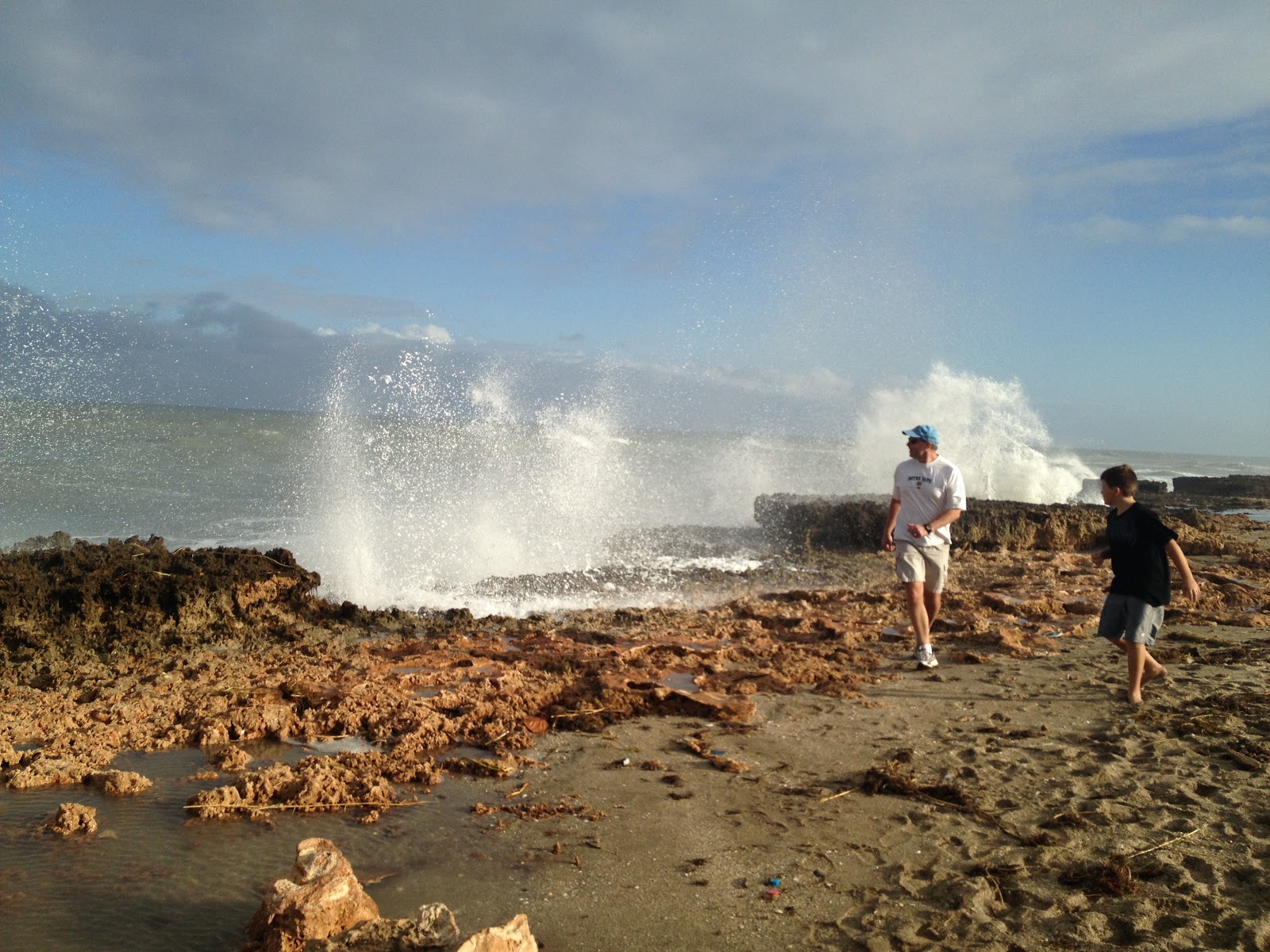 Fun Florida Mom!: BLOWING ROCKS PRESERVE - Jupiter Island, Fl.