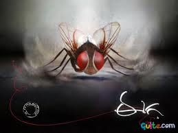 The Entertainment Hub: PREVIEW OF `MAKHI'