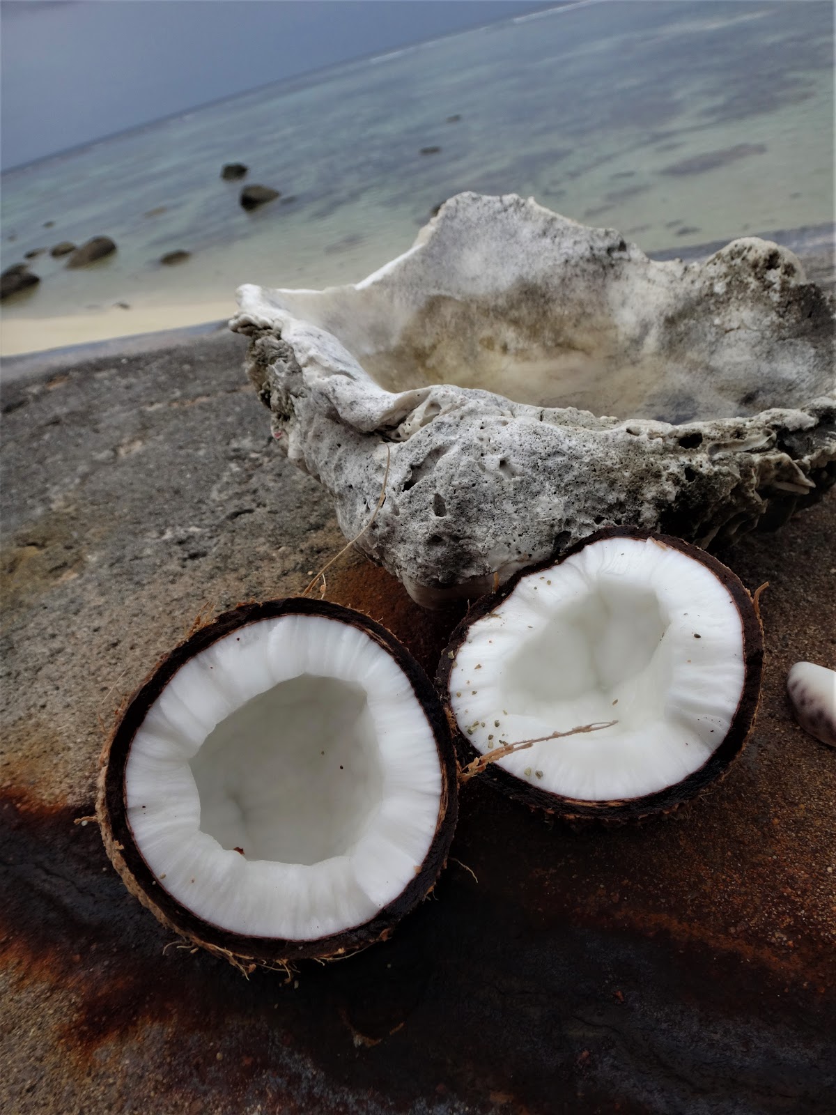 Gâteau Coco et Sauce à l' Orange