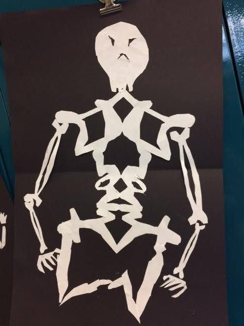 Ms. Sugar's Class Blog 16-17: Symmetrical Skeletons
