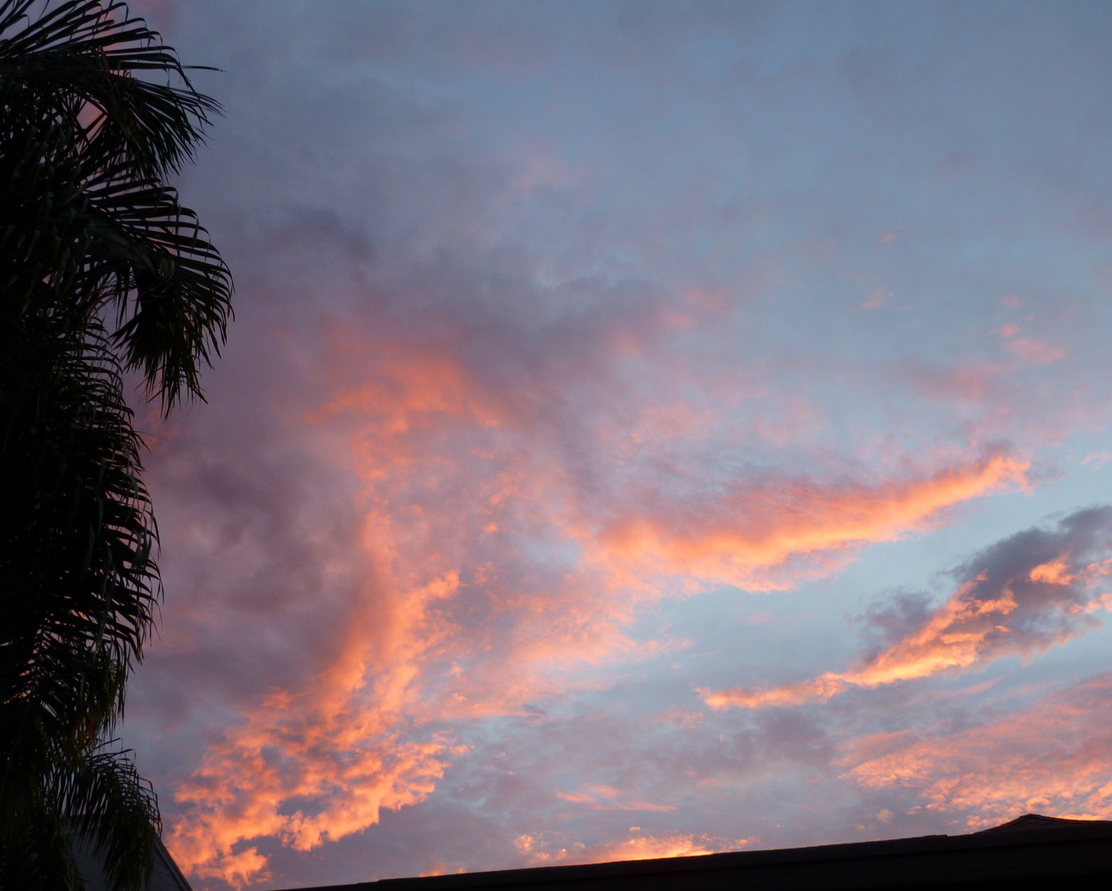 My Florida Backyard: September 2011