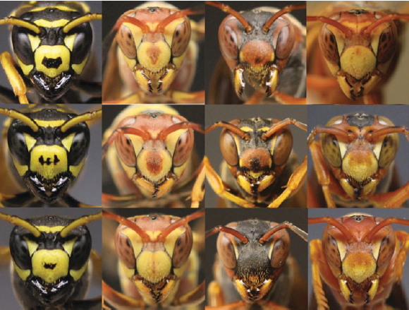 Science Prose: This week in biology/medicine (April 28-May 5, 2014)