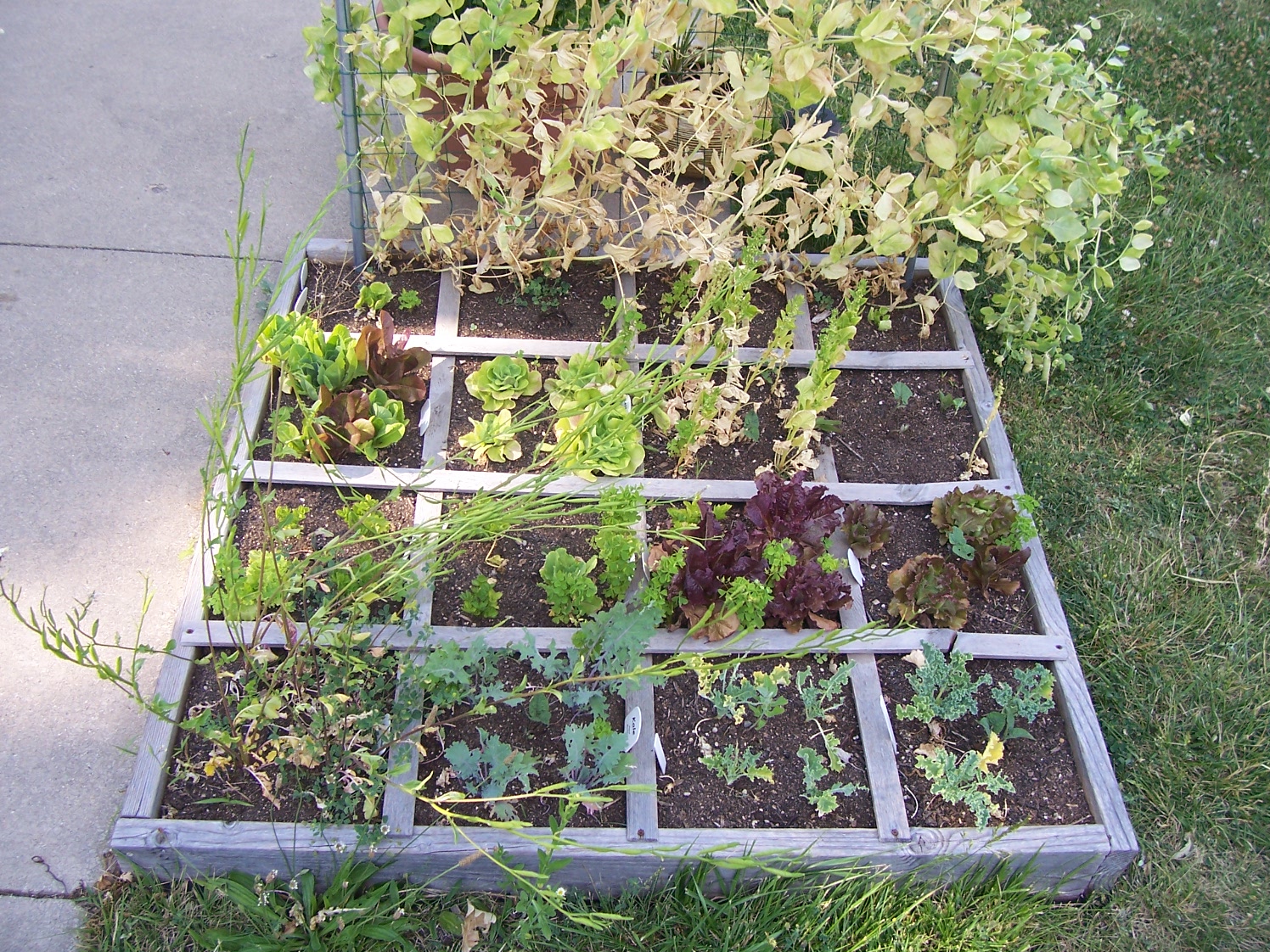 Joe's Garden Journal: Square Foot Garden #1