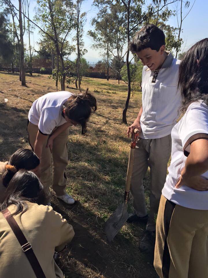 Ofimática: Bloque III