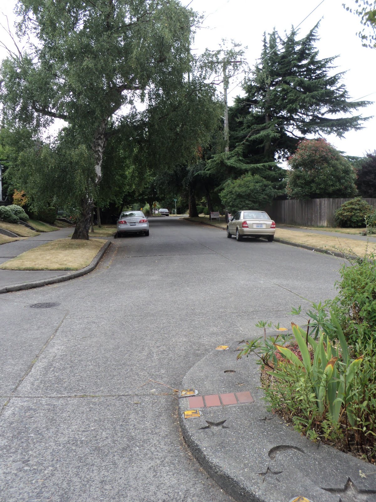Walking Seattle Neighborhoods: Maple Leaf