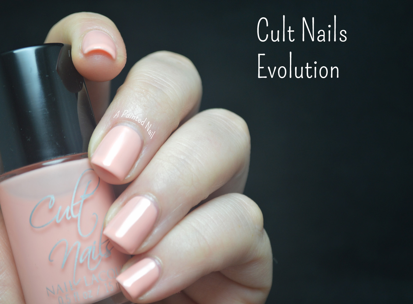 A Painted Nail: Cult Nails It's A New Day Trio