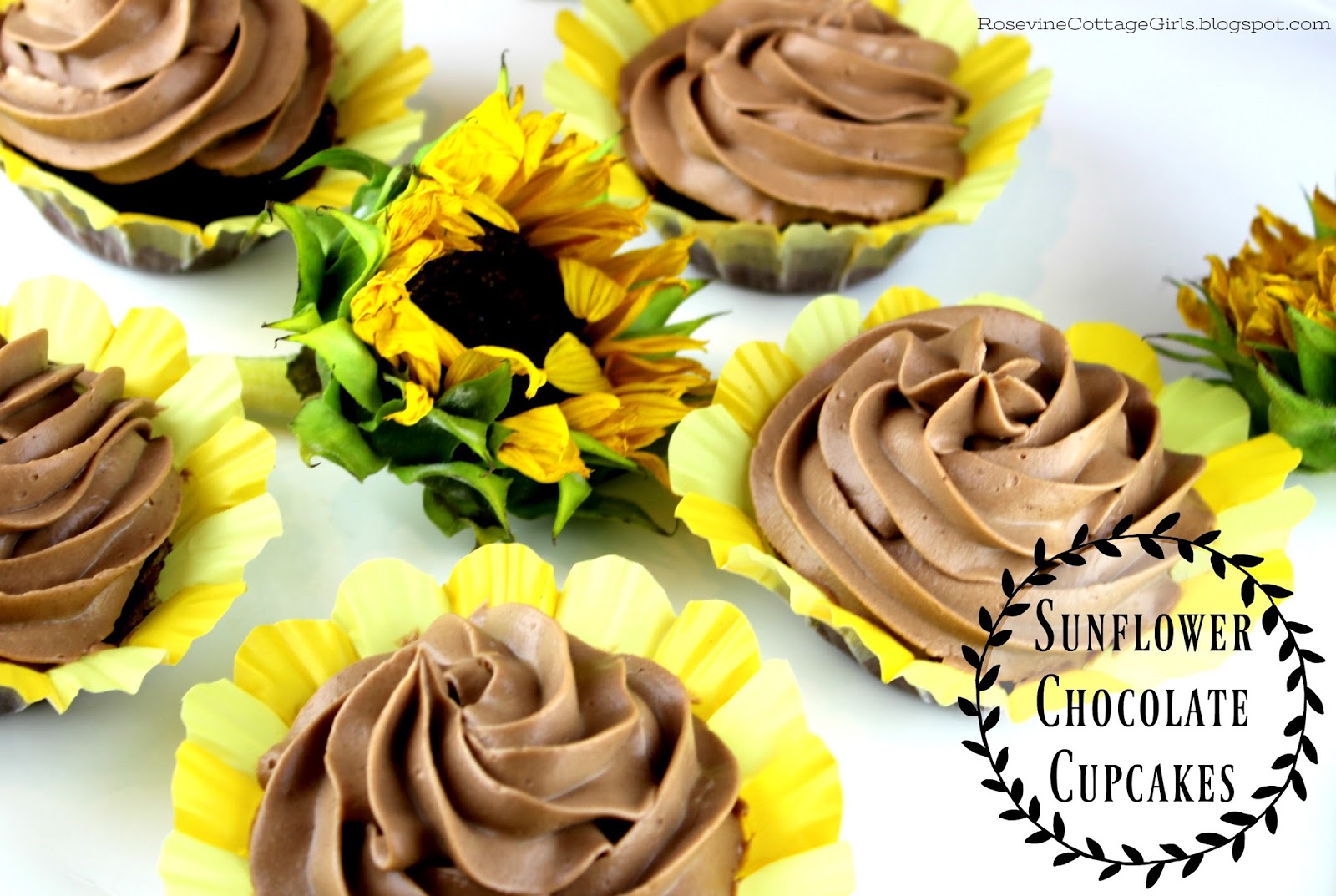 Sunflower Java Chocolate Cupcakes