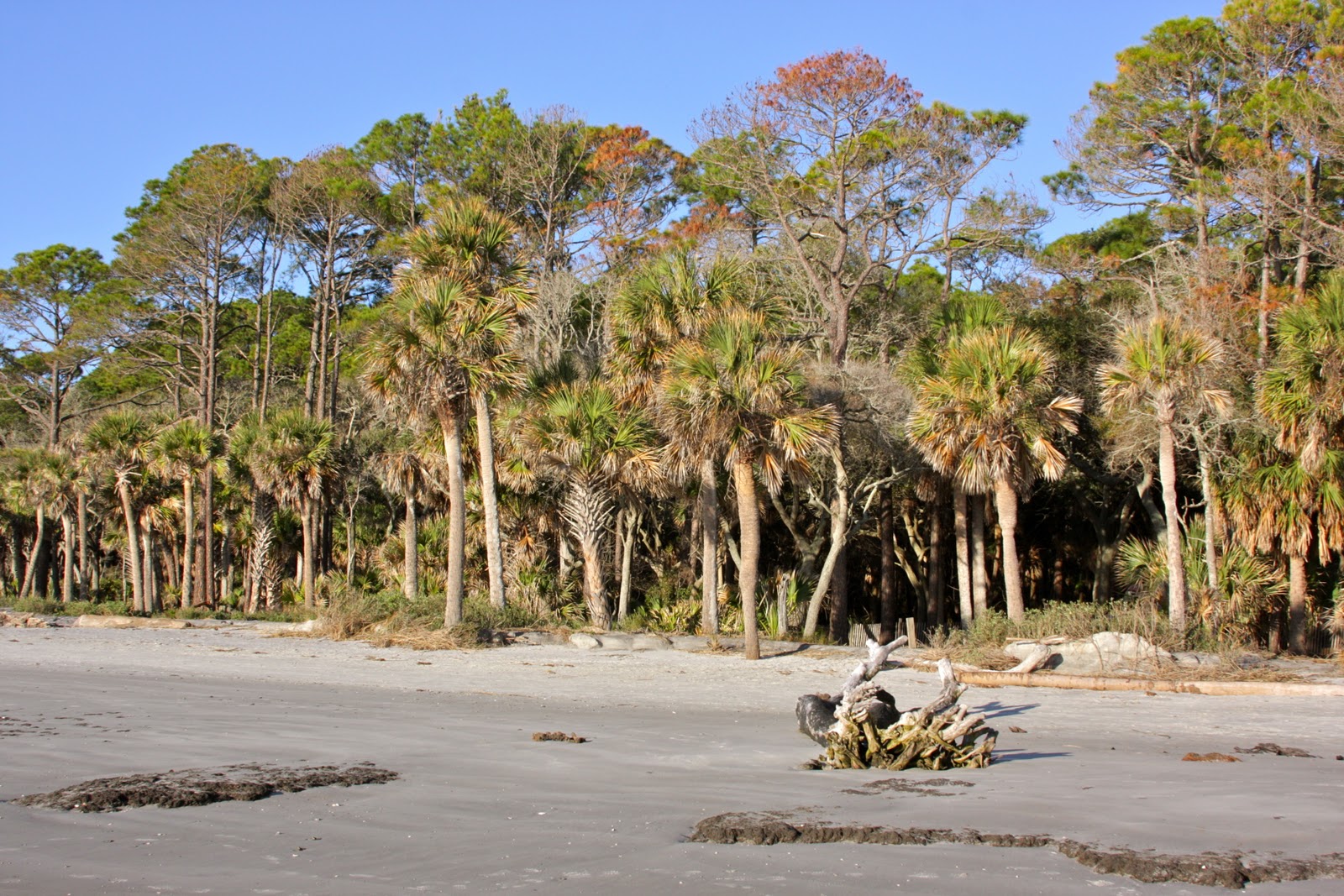 Soul Investing: Hunting Island State Park, SC