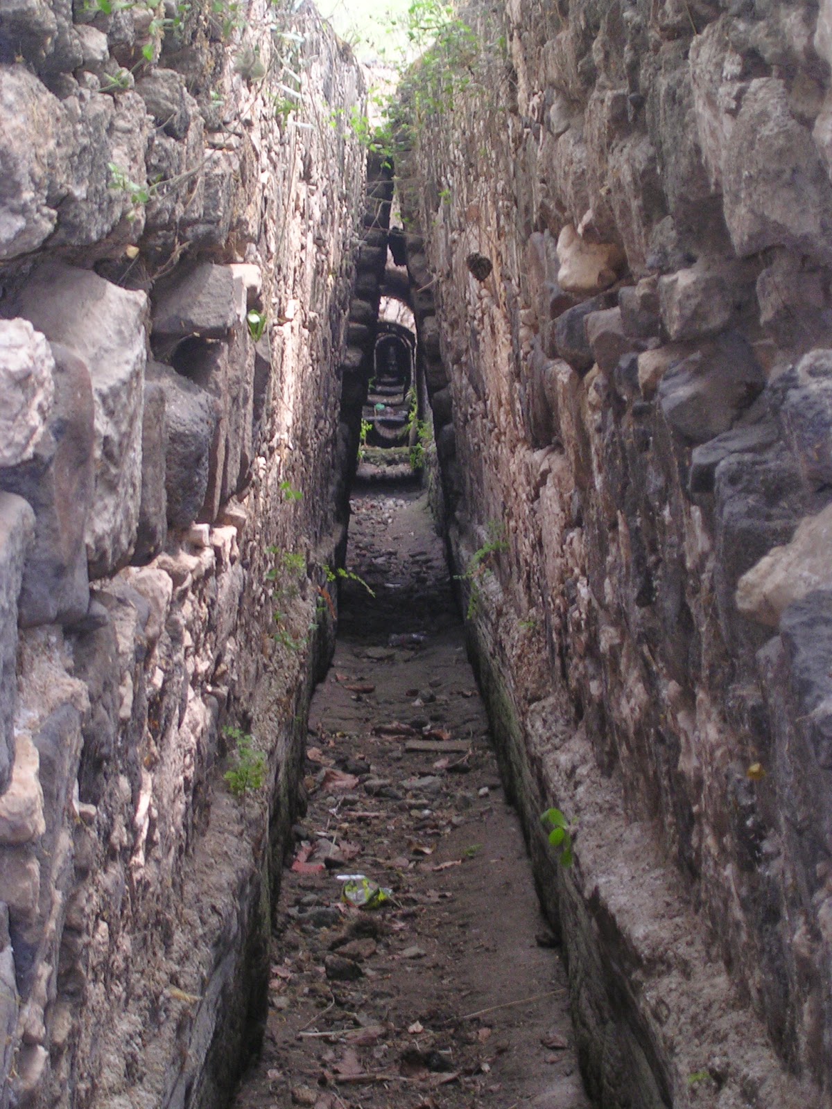 LA CUEVA ENCANTADA 1ª. Parte ~ Rioverde en la Historia
