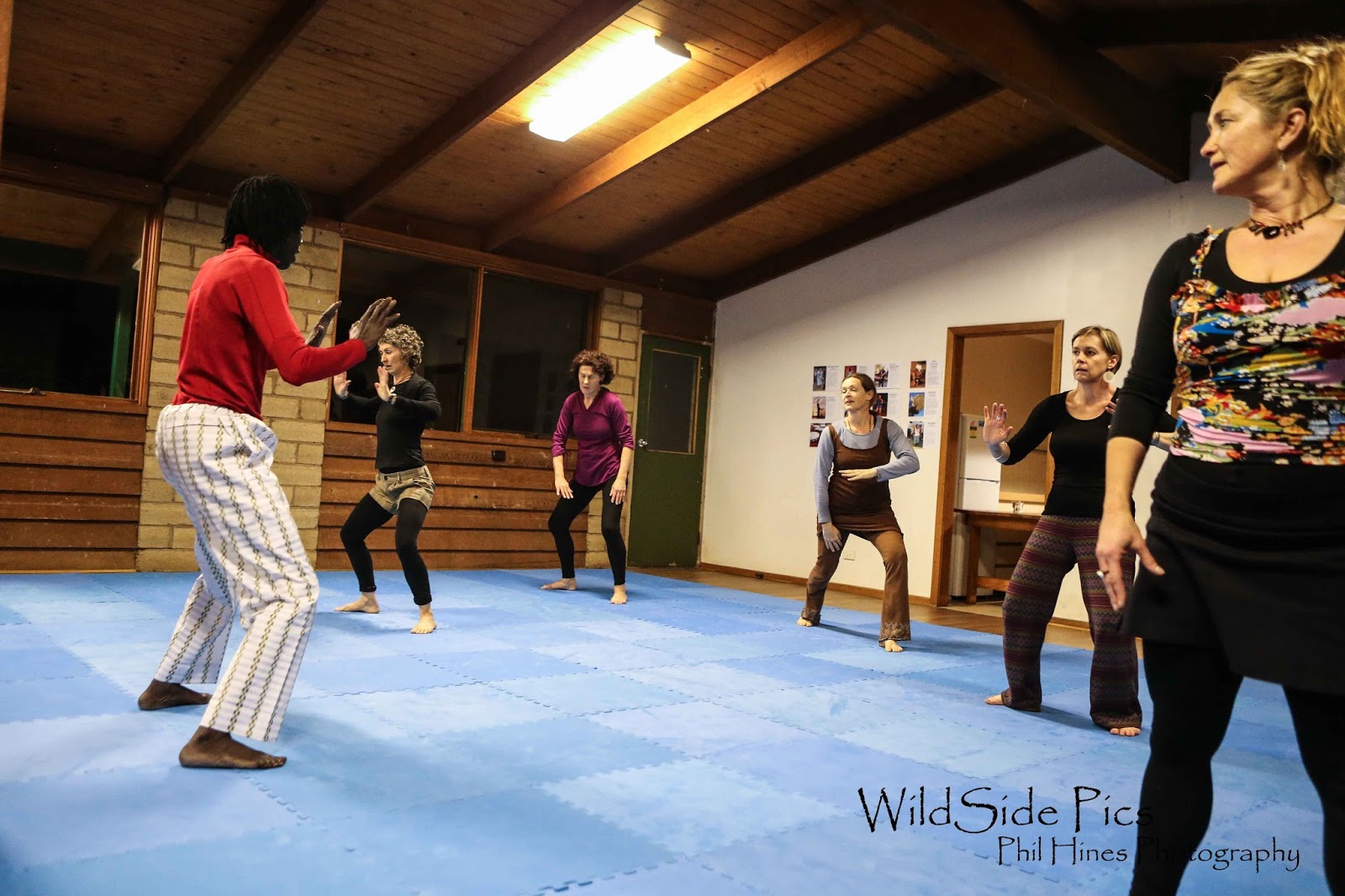 Wild Moves News and Upcoming Events