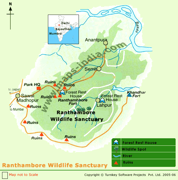 So Long Mary Ann: Ranthambore National Park