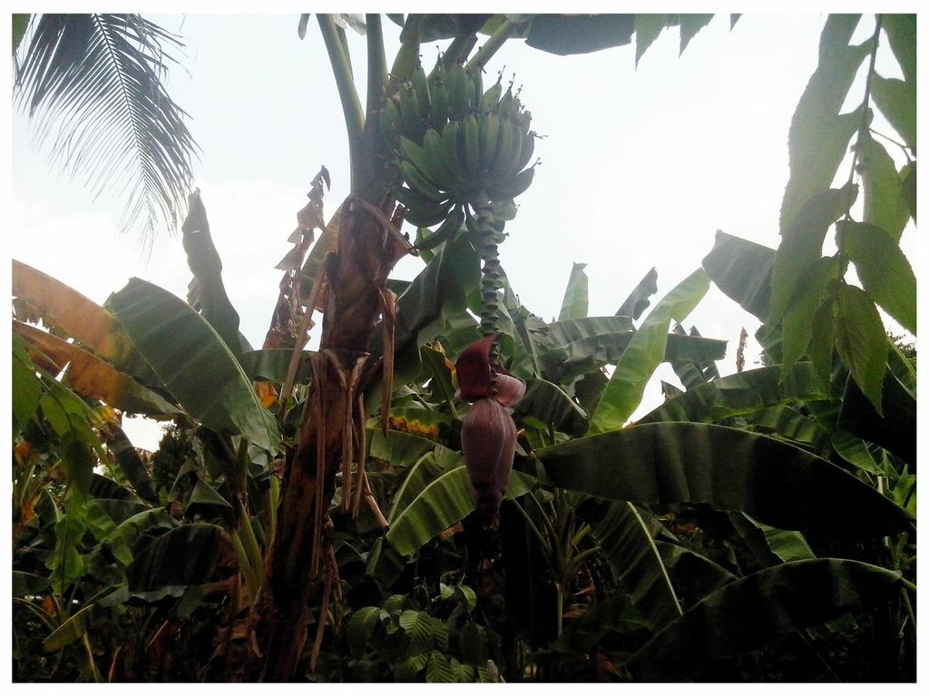 Albeano's Trail Blog: Villa Nica Mountain View Lodge