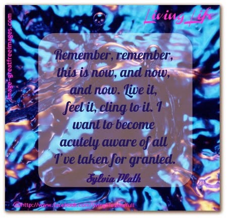 REMEMBER, REMEMBER, THIS IS NOW, AND NOW,AND NOW. LIVE IT, FEEL IT ...