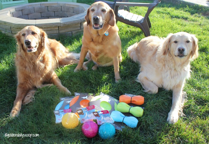 Three Durable Toys For Tough Dogs three-durable-toys-for-tough-dogs