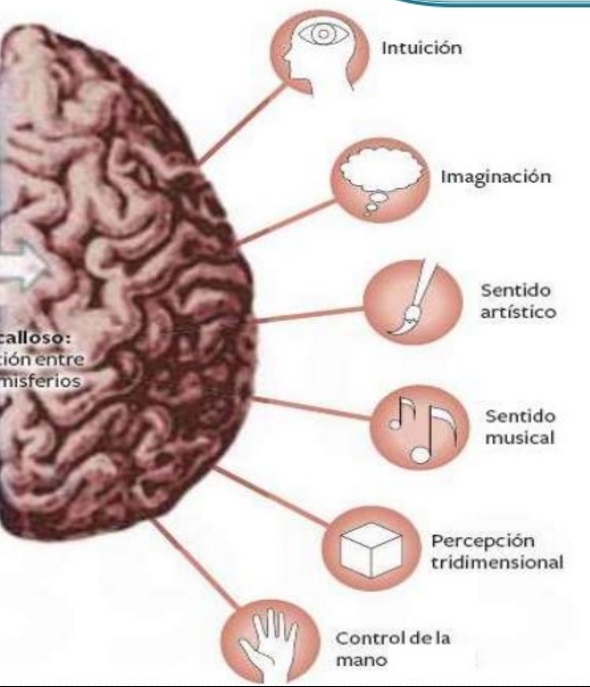 Teoría multifactorial de Thurstone: LA INTELIGENCIA