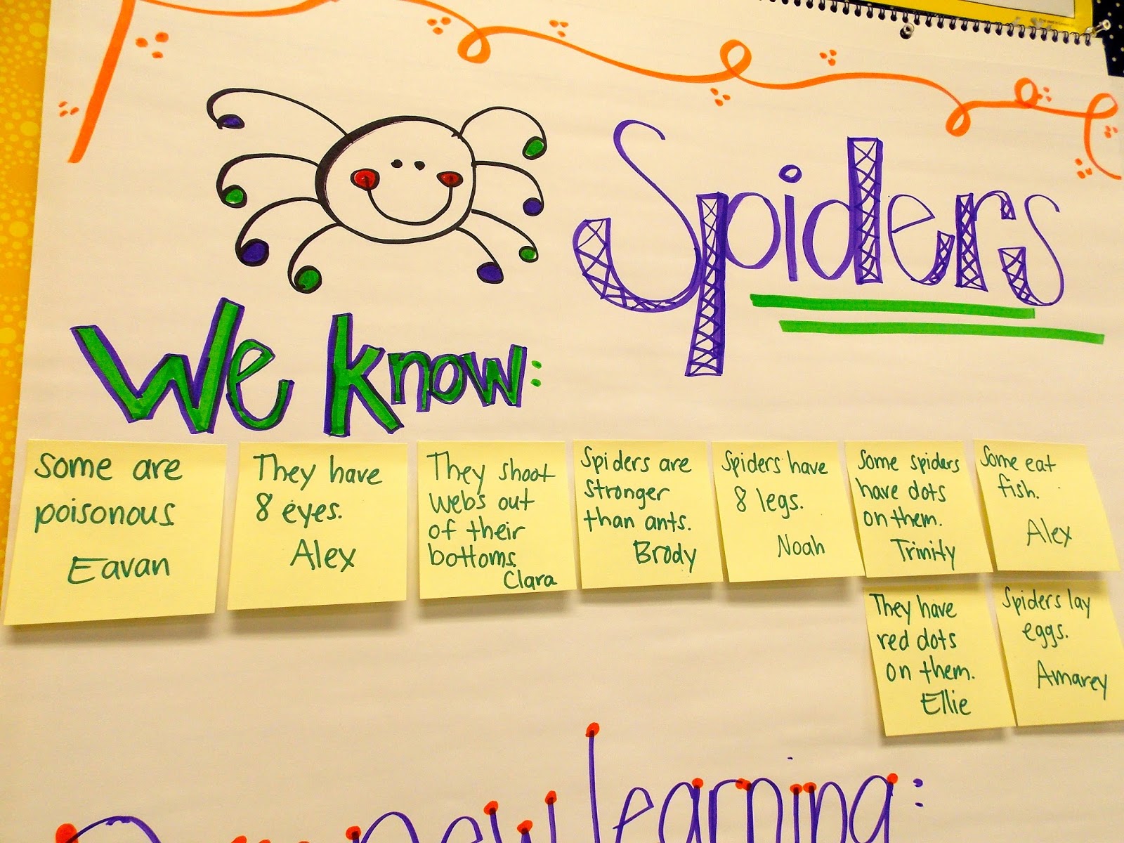 Spiders on Pinterest | Itsy Bitsy Spider, Spider Crafts and Spider Webs