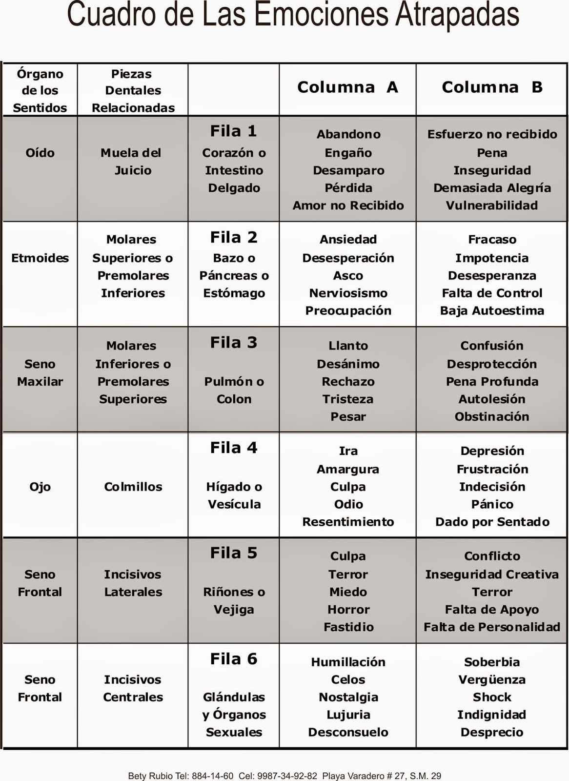 Biomagnetismo: Técnica de Liberación Masiva de Emociones Atrapadas